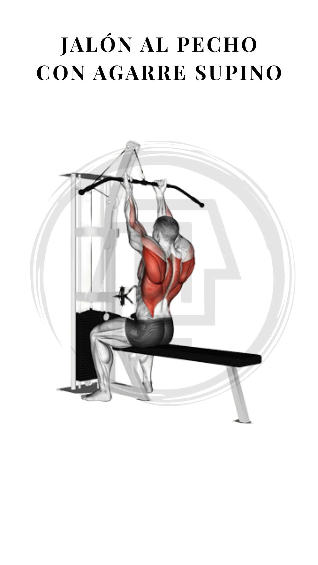 Jalón al Pecho con Agarre Supino
