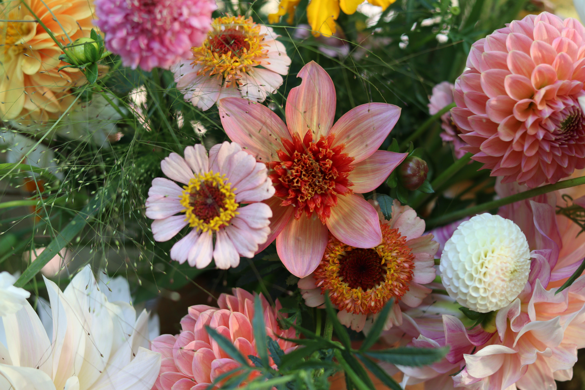 Home | indigenous love design