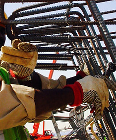 Armaor Standard | Armaor software