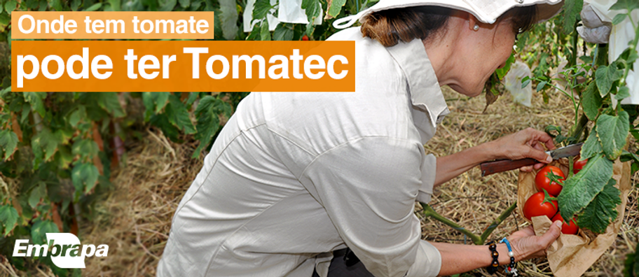 Onde tem tomate pode ter Tomatec