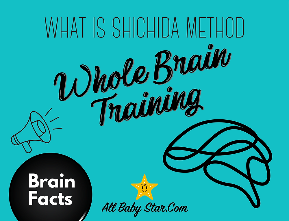 Does Shichida Flashcards Method "Whole Brain Training" Works?