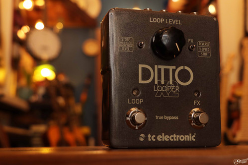 Ditto Looper X2 | tc electronics | sun-sound