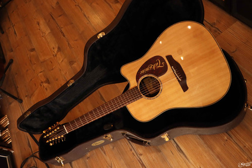 Takamine 12 String | TAN16C-12 | sun-sounds