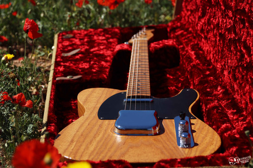 Fender Telecaster 52' reissue | American Vintage roasted ash | FSR 2017 ...