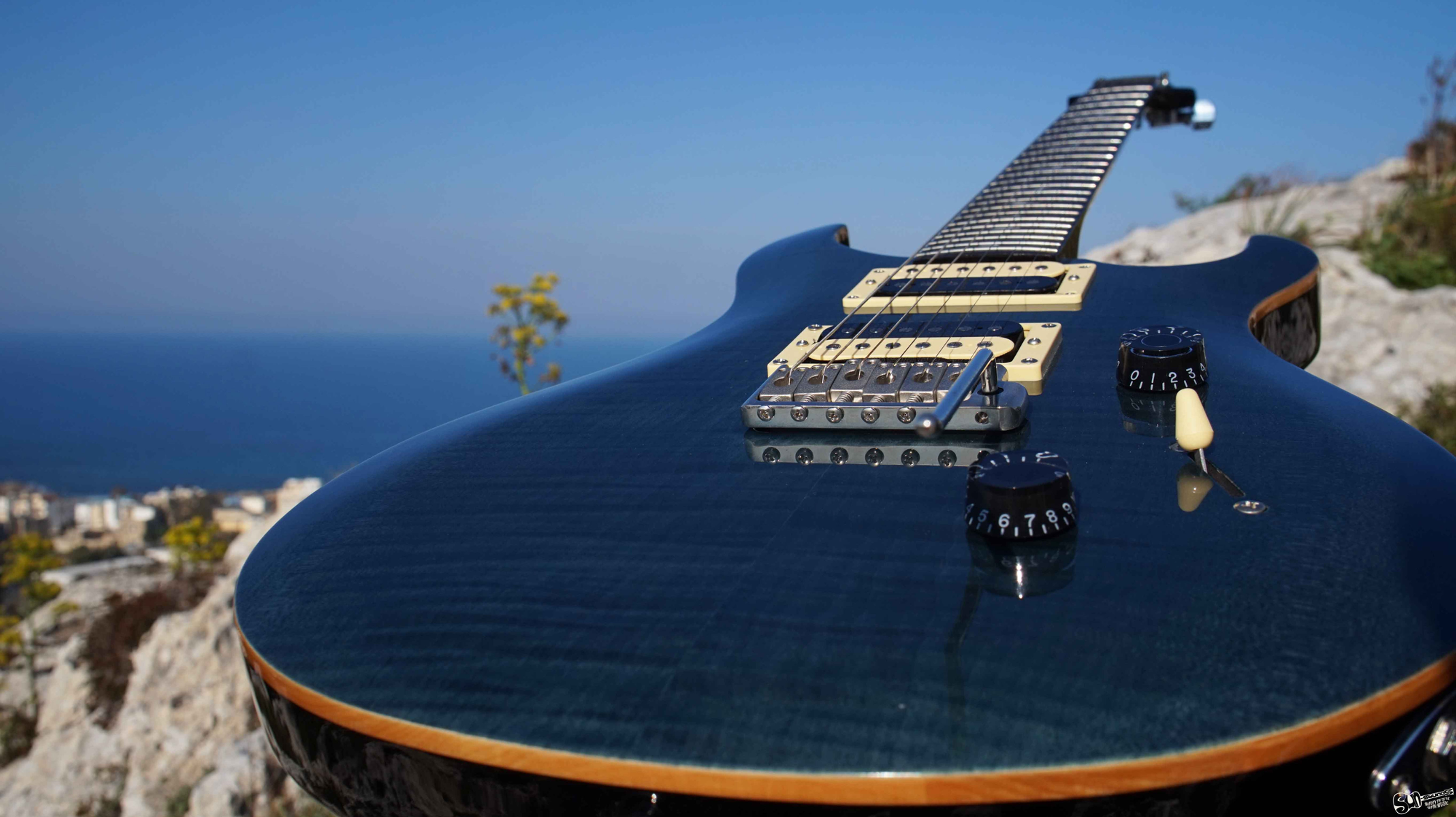 PRS SE Custom 24