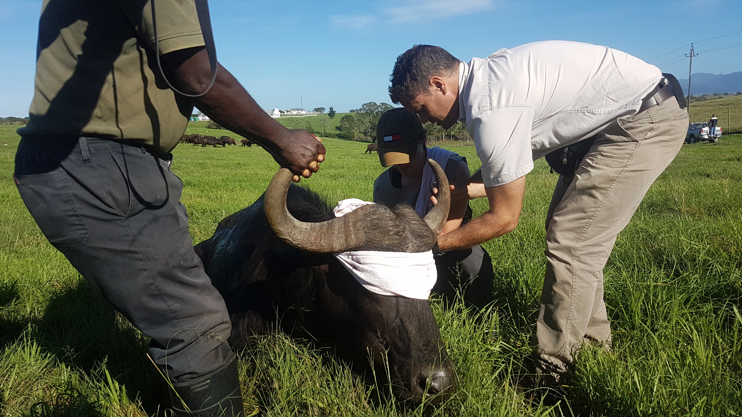 Apply Now | Worldwide Vets