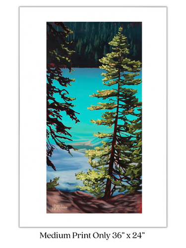 "Little Tree" PAPER PRINT $75 - $175CAD | artist