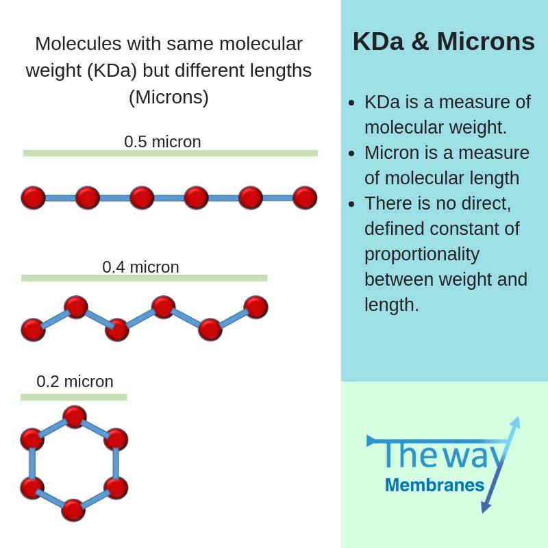 kDa to Microns