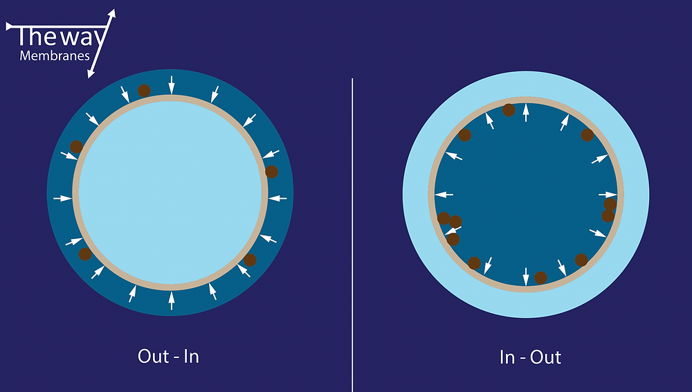 Out-In Membrane or an In-Out Membrane?