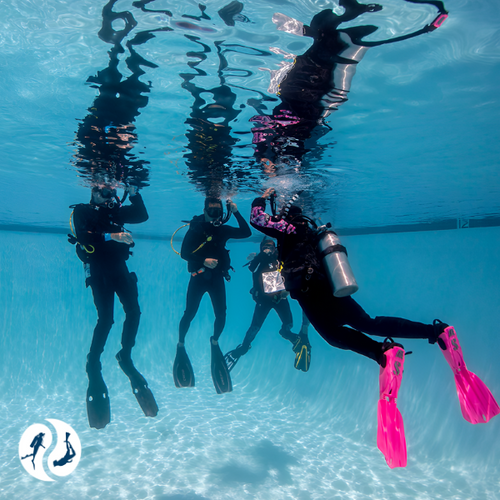 PADI Discover Scuba Diving | CWD