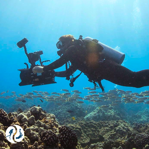 PADI Digital Underwater Photographer | CWD