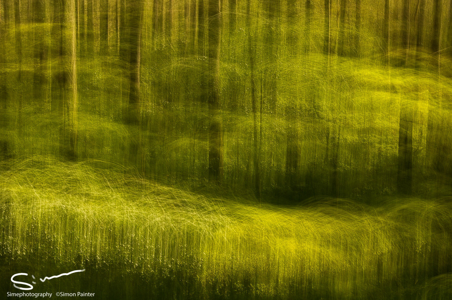 Inspirations (7) - Simon Painter