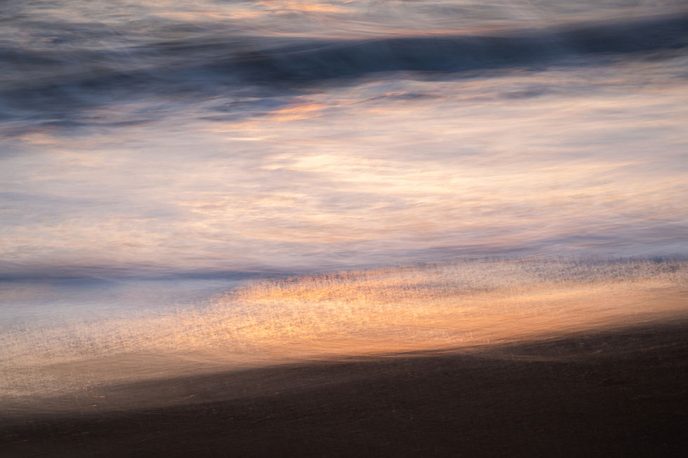Mark Cornick Photography | Coastal and Botanical Abstract and ...
