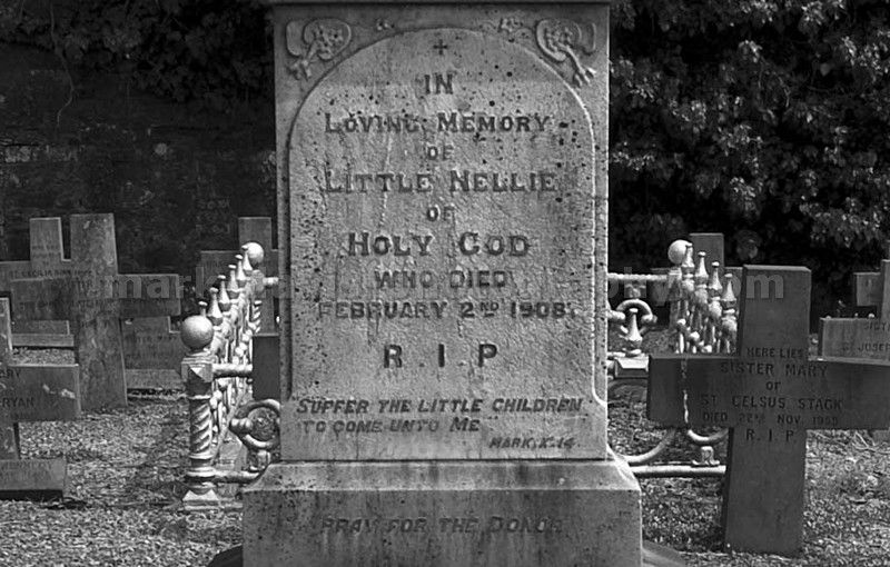 The Guardian Angel: Little Nellie of Holy God -The Life of Nellie Organ ...