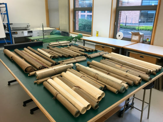 The Best Conservation Projects of 2020