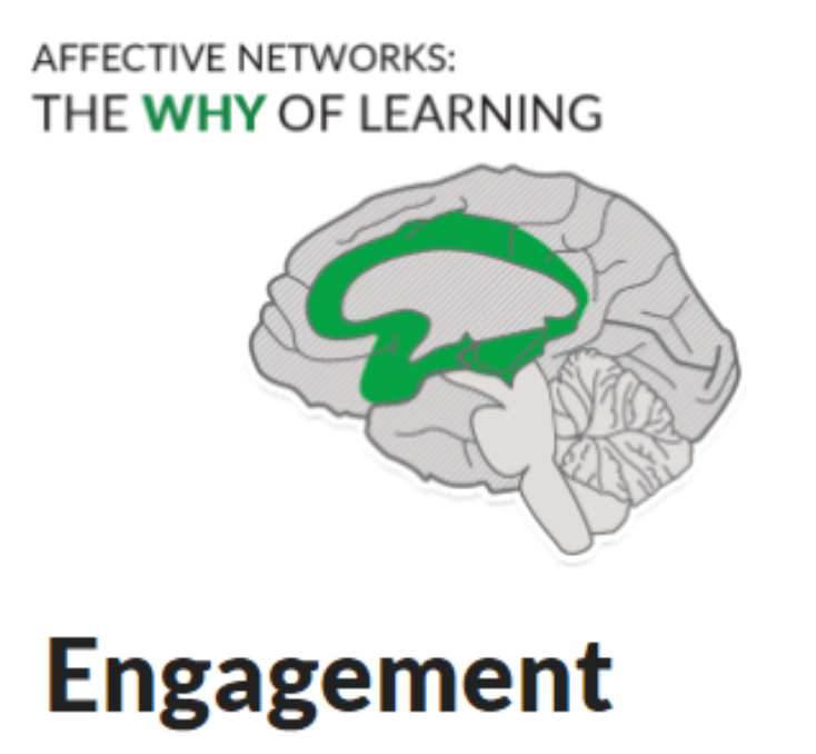 Universal Design for Learning (UDL)