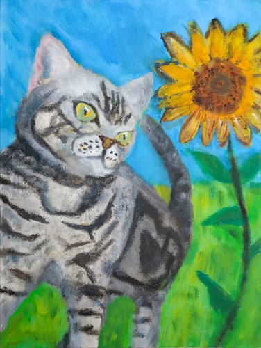 張鎧然 HAILEY CHEUNG | AWARDgallery