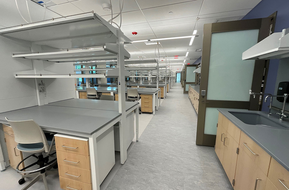 Laboratory Casework | Whitehawk Construction