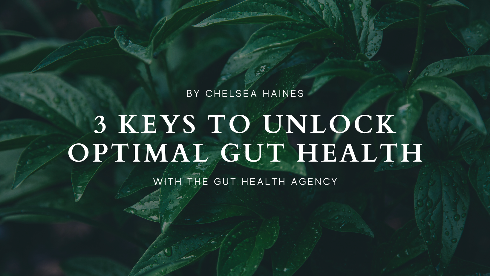 Chelsea Haines, The 3 Keys To Unlock The Secrets Of Optimal Gut Health