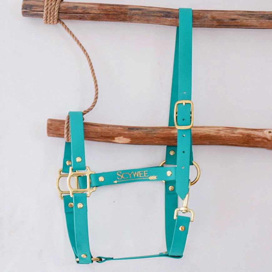 Licol en biothane | Terra Dog Création