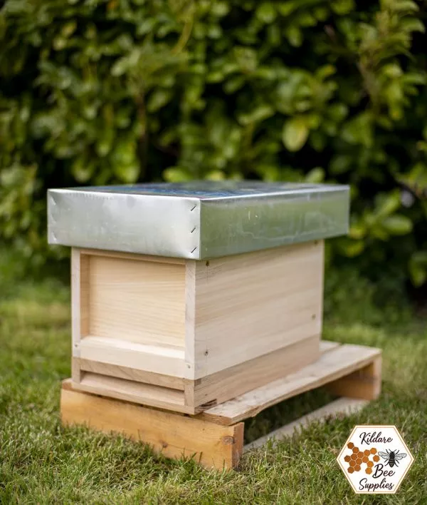 Beginner Five Frame National Nucleus Kit Suit Included | Kildare Bee ...