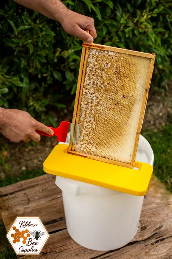 Basic Honey Extracting Kit | Kildare Bee Supplies