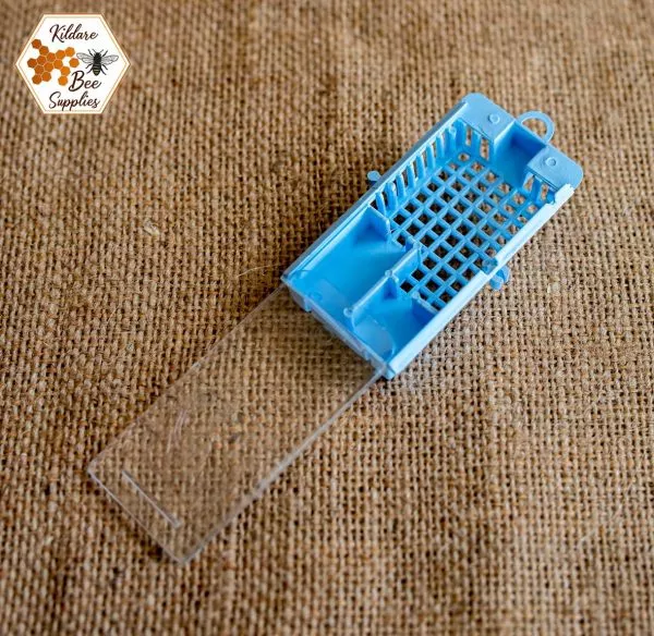 Plastic Introduction/Shipping Cage | Kildare Bee Supplies
