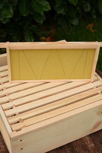 Rose Hive Box Pack ( With Rose Frames and Foundation included ...