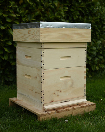 Commercial Hive | Kildare Bee Supplies