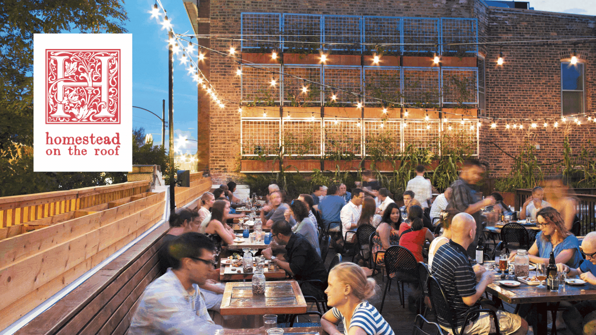 Chicago Wanted | Food & Beverage Guide