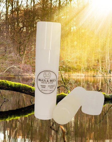 Bugs & Bees Sticks | Soulful Solace