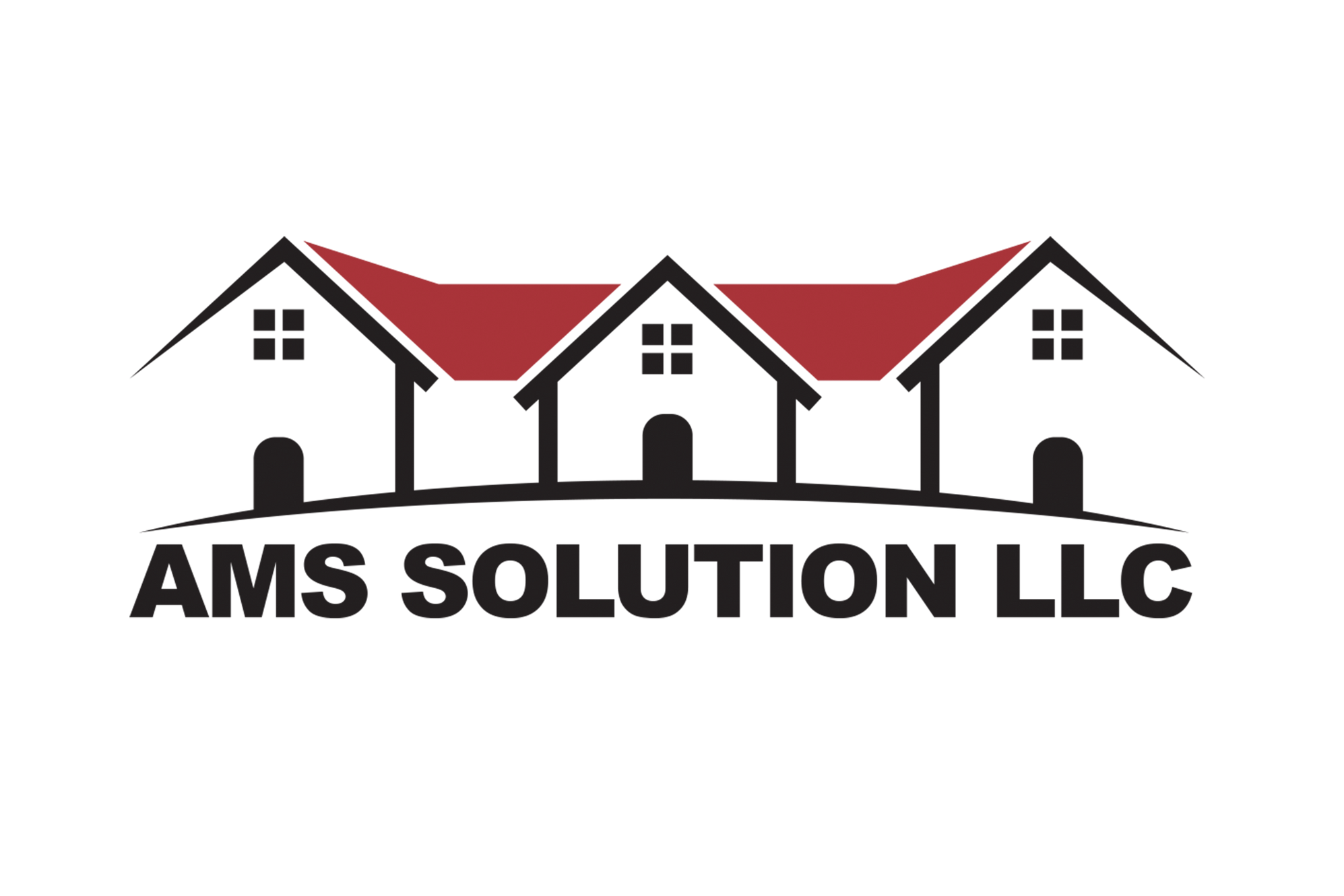 AMS SOLUTION LLC | AMS SOLUTION LLC