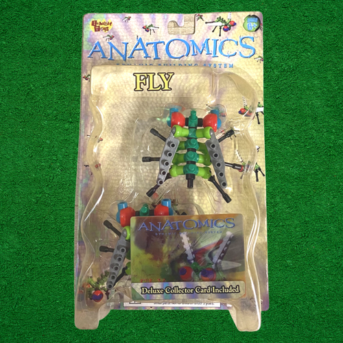 Anatomics Fly Building System | Beyond the Beanstalk