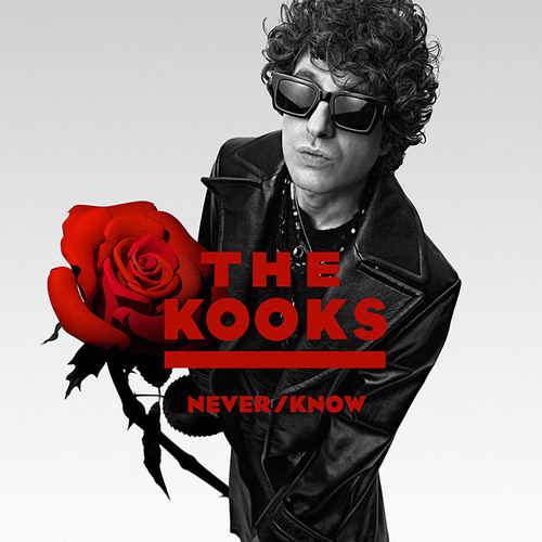 The Kooks - Never/ Know | Applestump Records