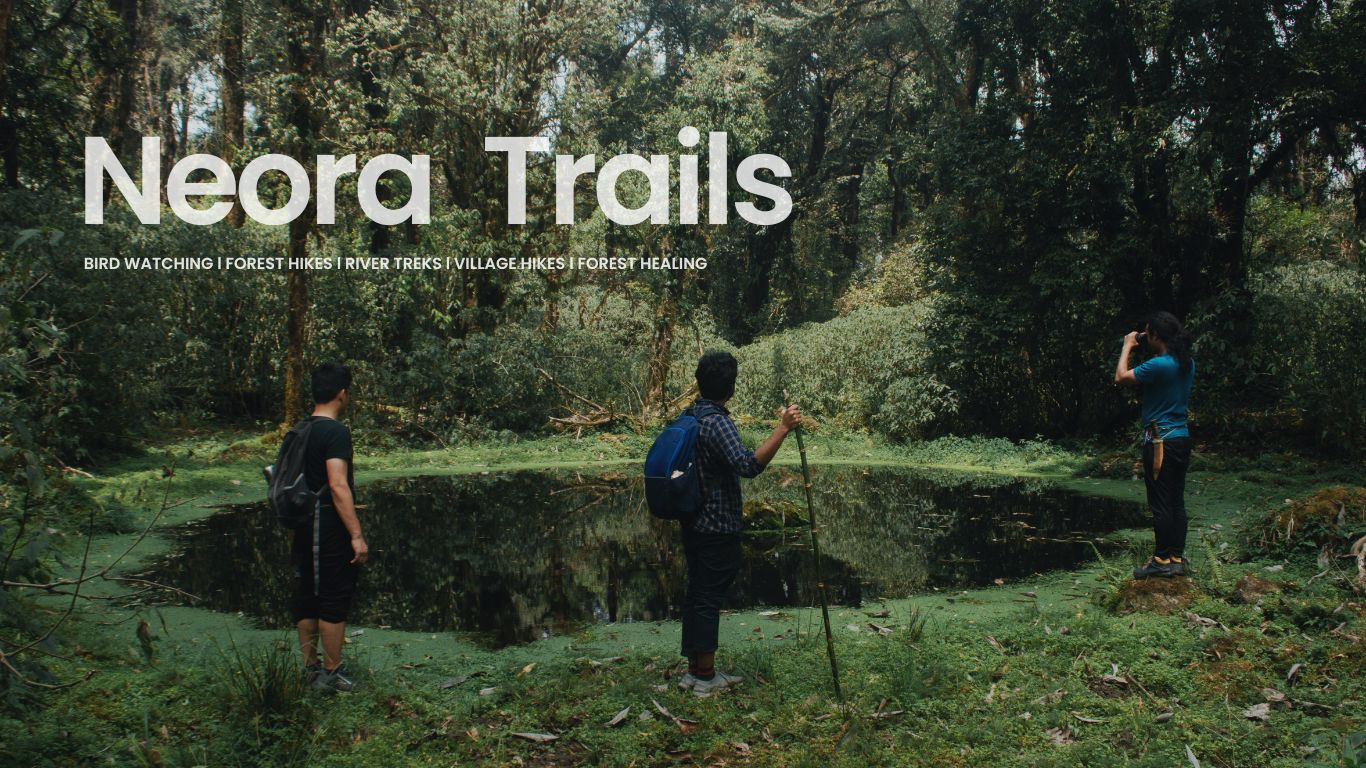 TODEY-TANGTA | Muhaan