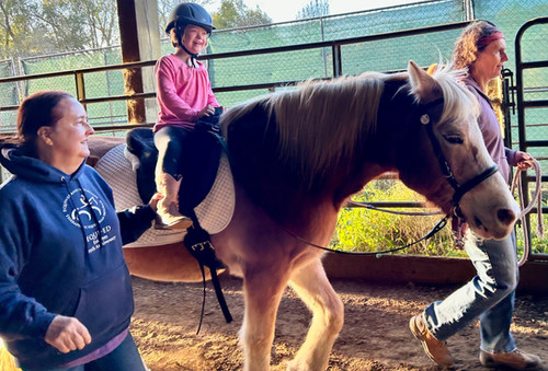 Sponsor a Student's Lesson | Equi-Ed