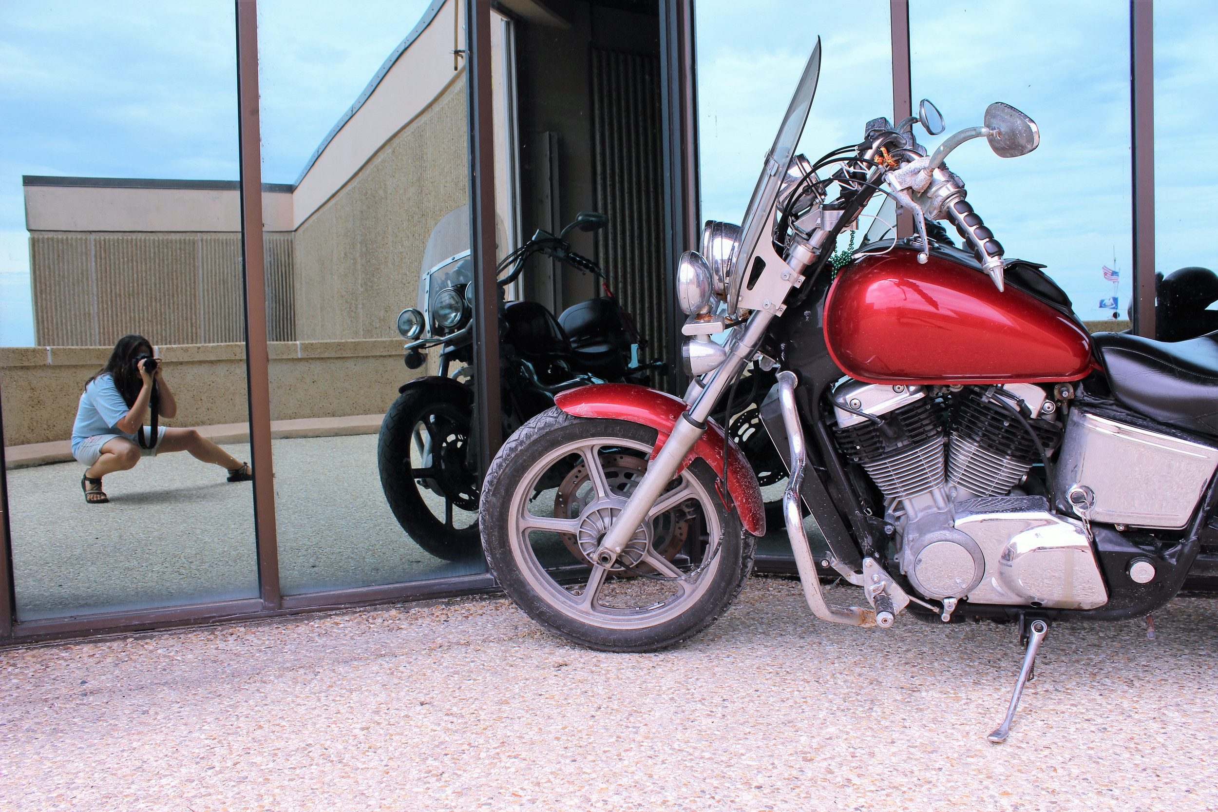 Projects | VirginiaSchutte.com