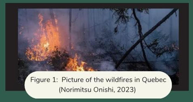 The Patterns of Wildfires in Canada