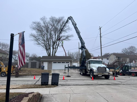 Jr's Tree Service | tree removal sheboygan
