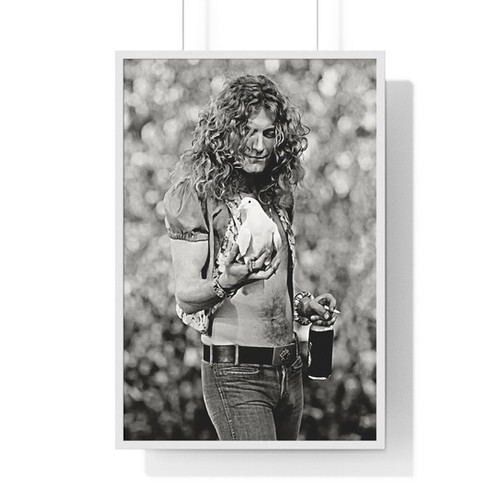 Robert Plant with a Dove, Led Zeppelin Concert, Graphic Poster, Heavy ...