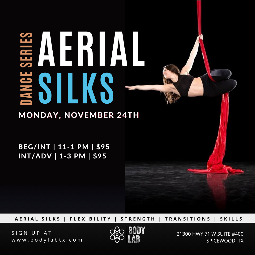 Aerial Silks Workshop | Body Lab