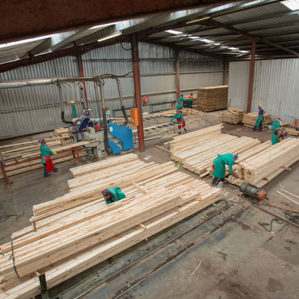 Industrial Timber | Timber Solutions