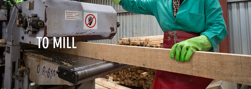 HOME | Timber Solutions