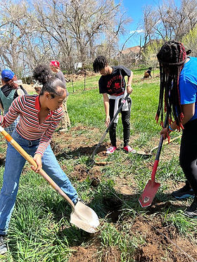 Volunteering With us | FLF Website