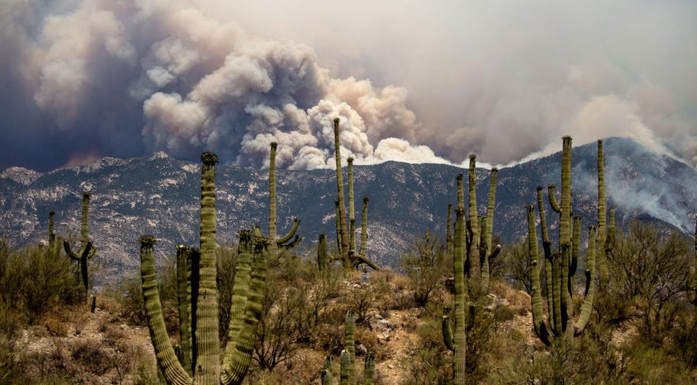 Tucson’s Bighorn Fire | Global Enlightenment Project