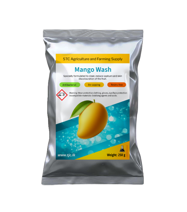 Mango Washing Sap Removing | TJC Mango Sri Lanka