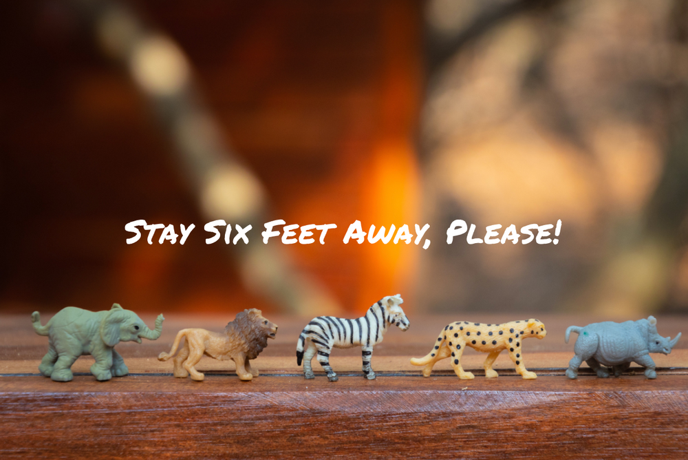 Stay Six Feet Away, Please!