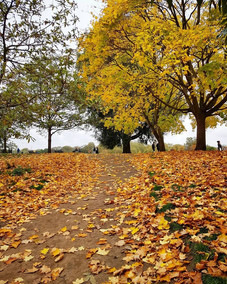 Autumn in London: Best Places to See Gorgeous Fall Foliage