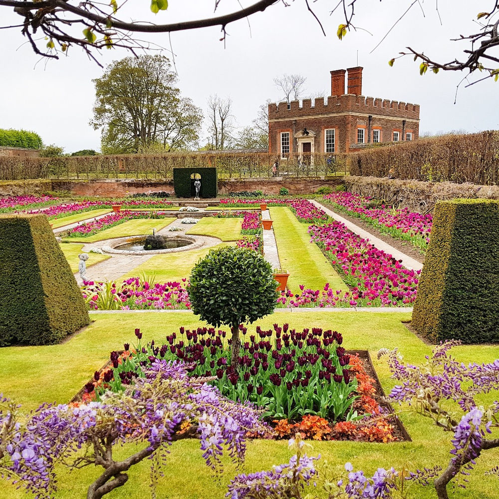 100,000 Tulips at Hampton Court Palace Tulip Festival