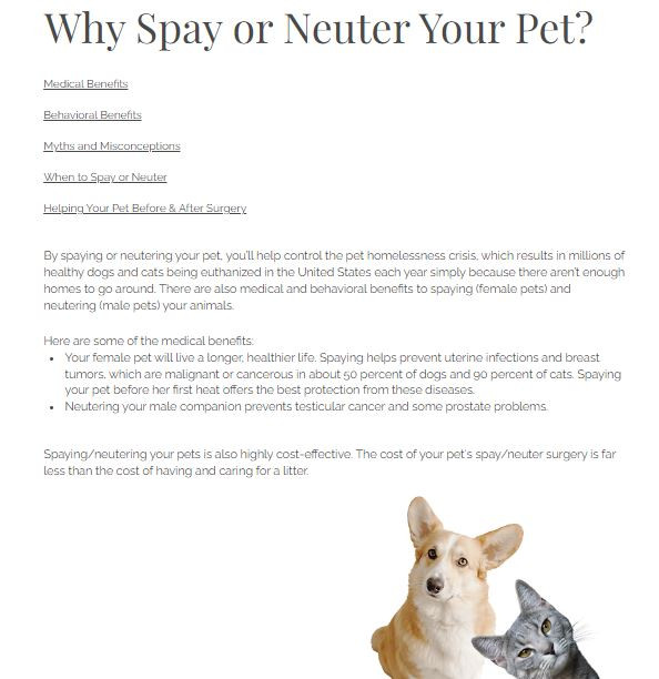 Why Spay & Neuter Your Pet? | Surface Creek Animal Shelter